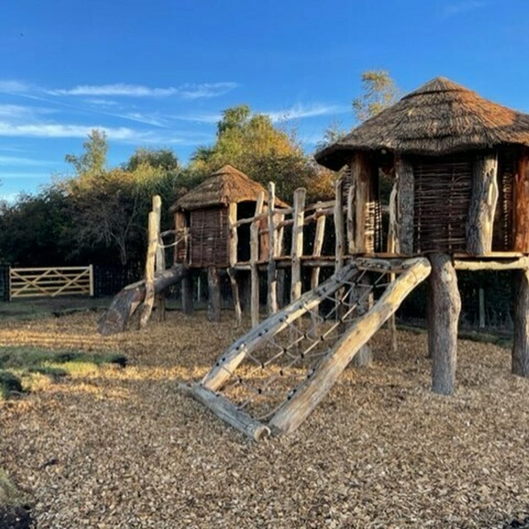Homepage - Flag Fen